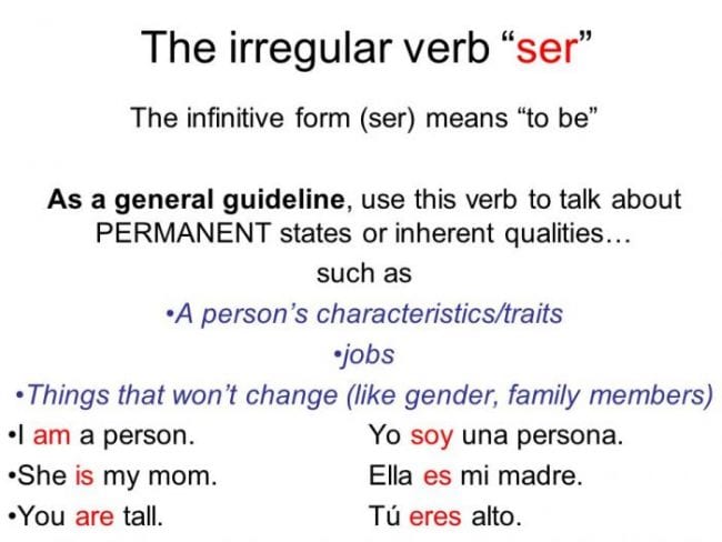 Mejores palabras y frases sobre la familia en español