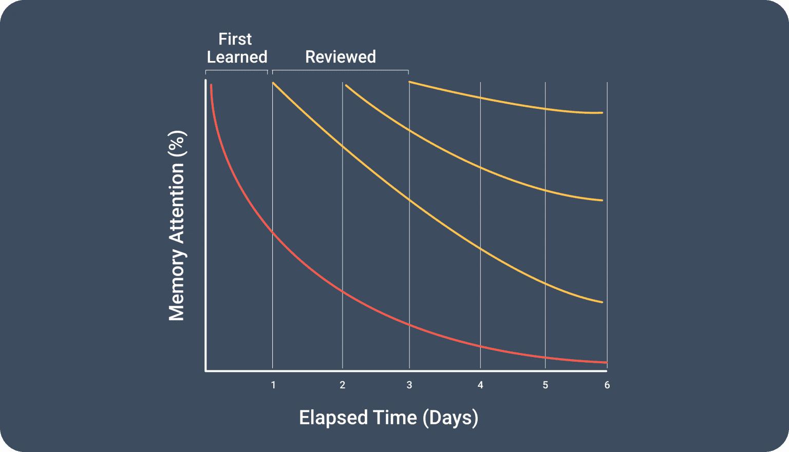 Effective Language Learning: How to Build Language Habits