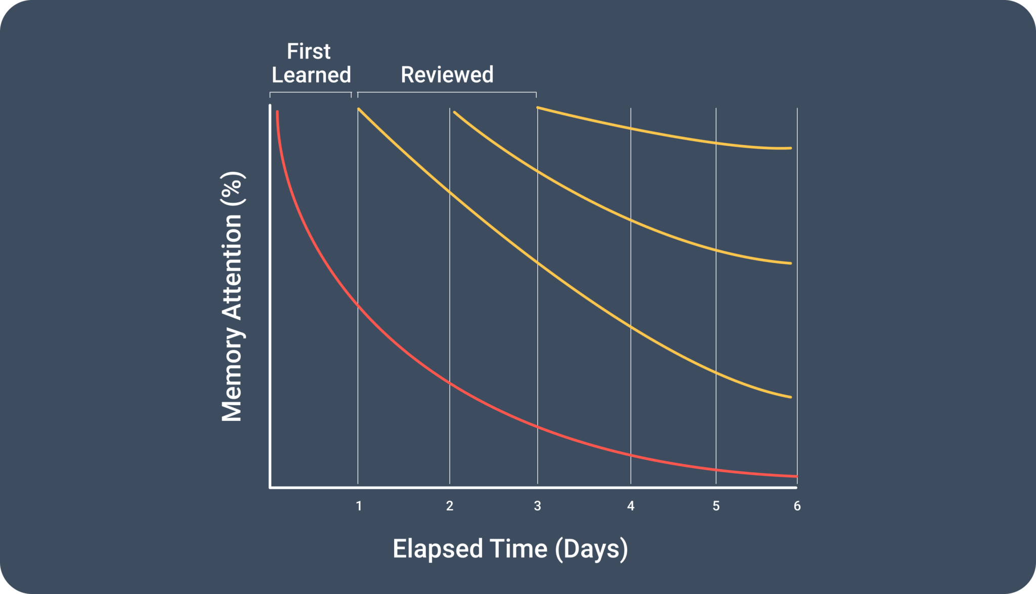 Effective Language Learning: How to Build Language Habits