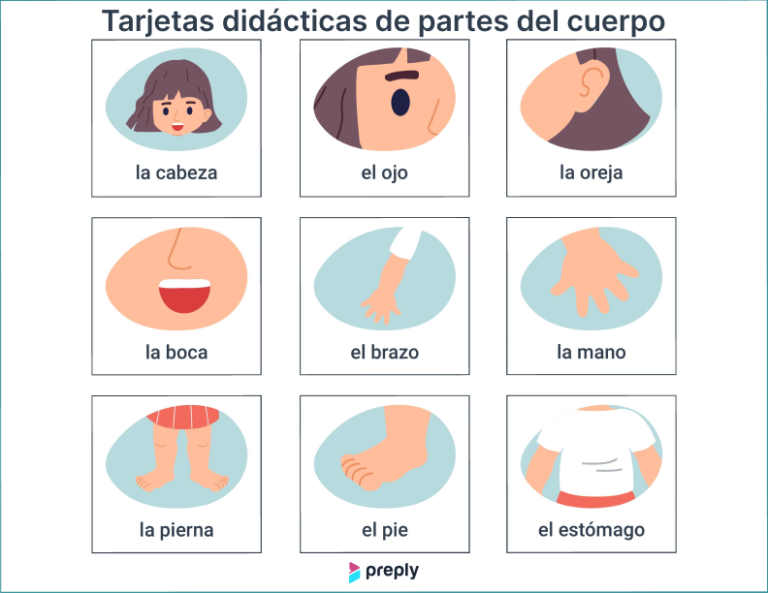 75+ Tarjetas Didácticas en Español Imprimibles