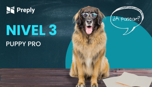 Aprende el lenguaje de tu perro | Preply
