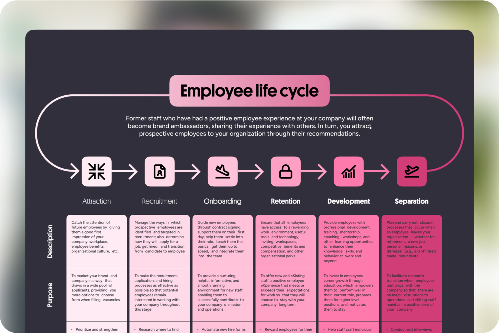Employee Lifecycle Infographic: Stages, Purpose, and Tactics - [PDF]
