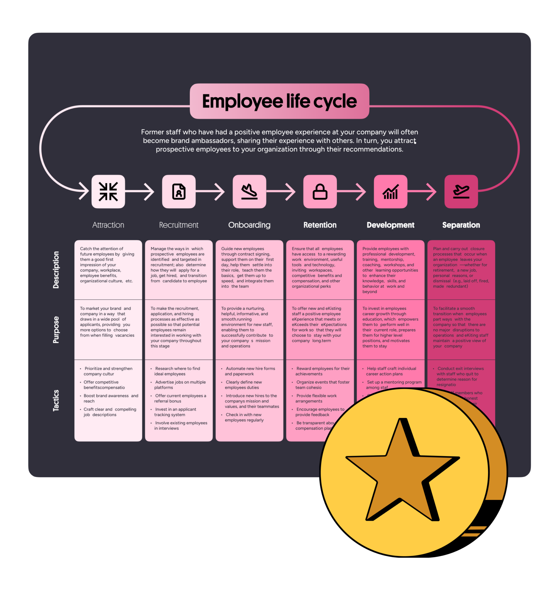 Employee Lifecycle Infographic: Stages, Purpose, and Tactics - [PDF]
