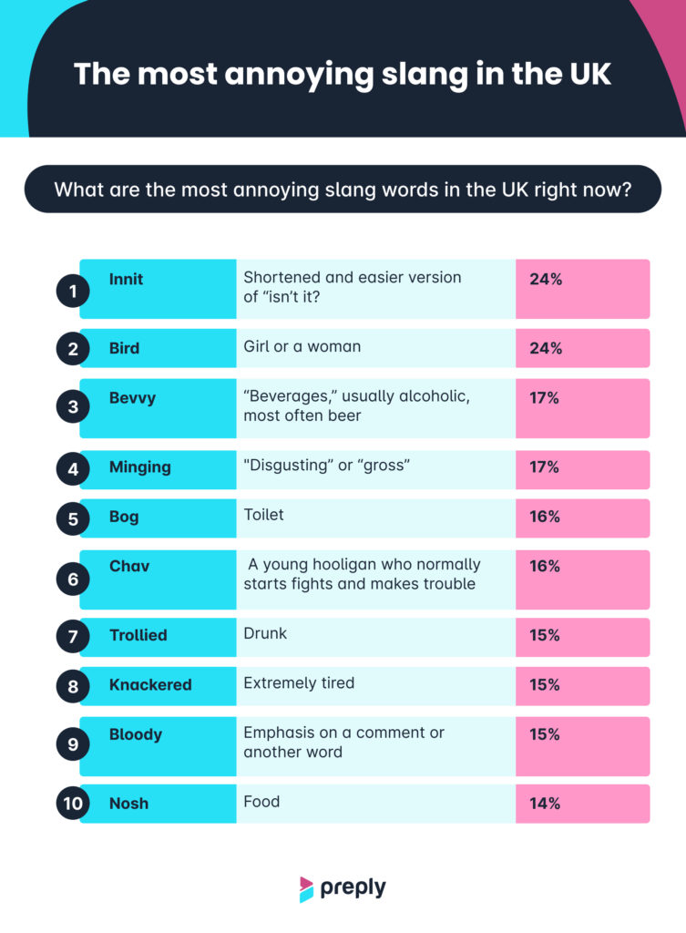 British Attitudes Towards Popular Slang: A 2023 Report