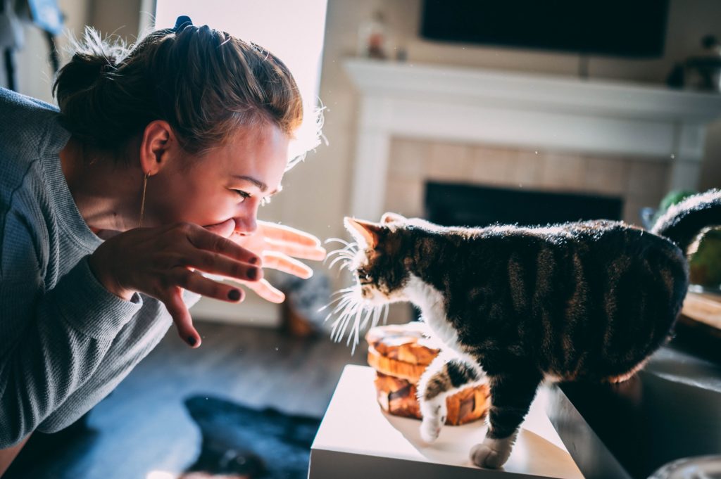 We Discovered the U.S. States Most Likely to Talk to Their Pets