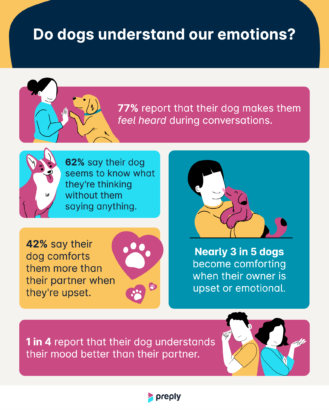 Survey Reveals 1 in 3 Feel More Emotionally Understood by Their Dog ...