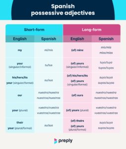 How to Use Spanish Possessive Adjectives? (Chart & Examples)